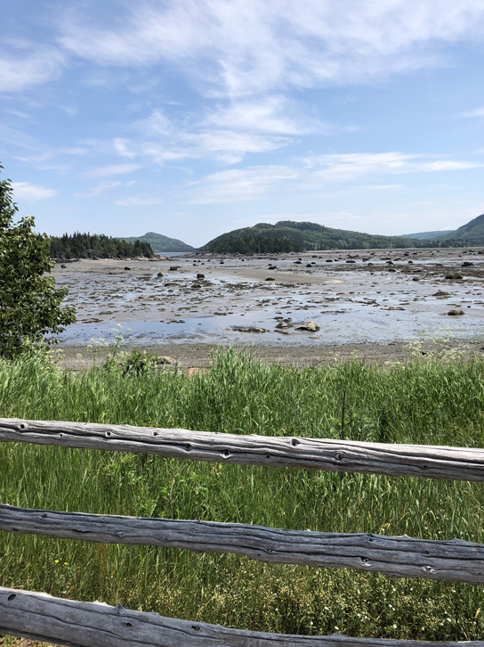 Prêts à camper au Parc national du Bic! | Famille au menu