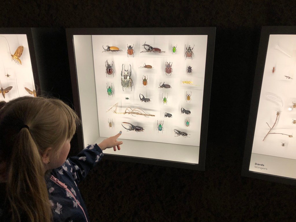 Une visite au nouvel Insectarium de Montréal | Famille au menu