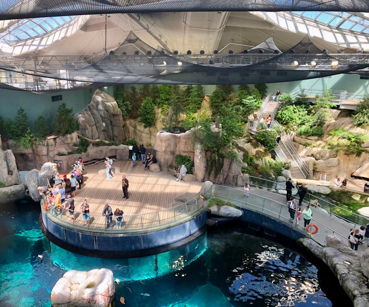 Redécouvrir le Planétarium et le Biodôme de Montréal | Famille au menu