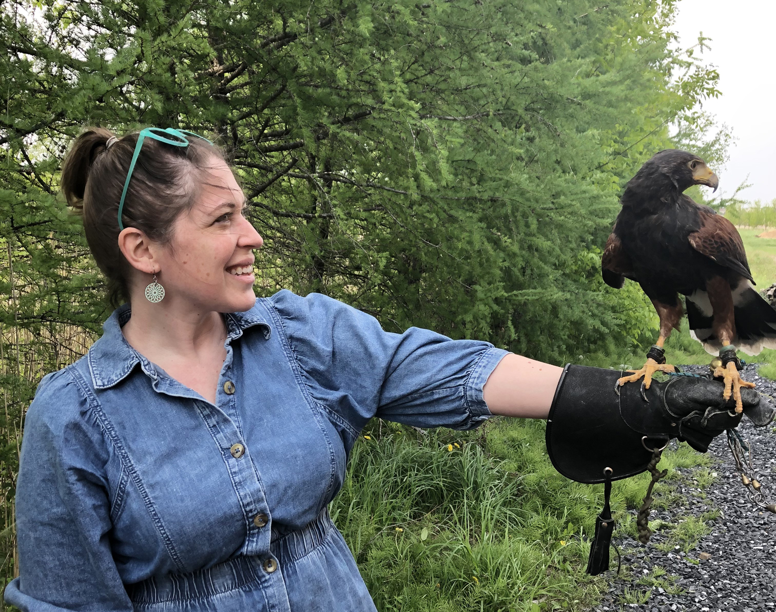 Des oiseaux de proie à la Ferme Guyon | Famille au menu